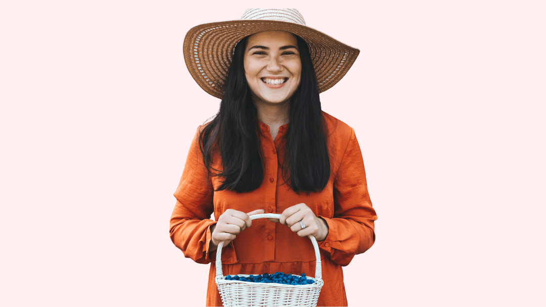 Dubsado | Live Webinars